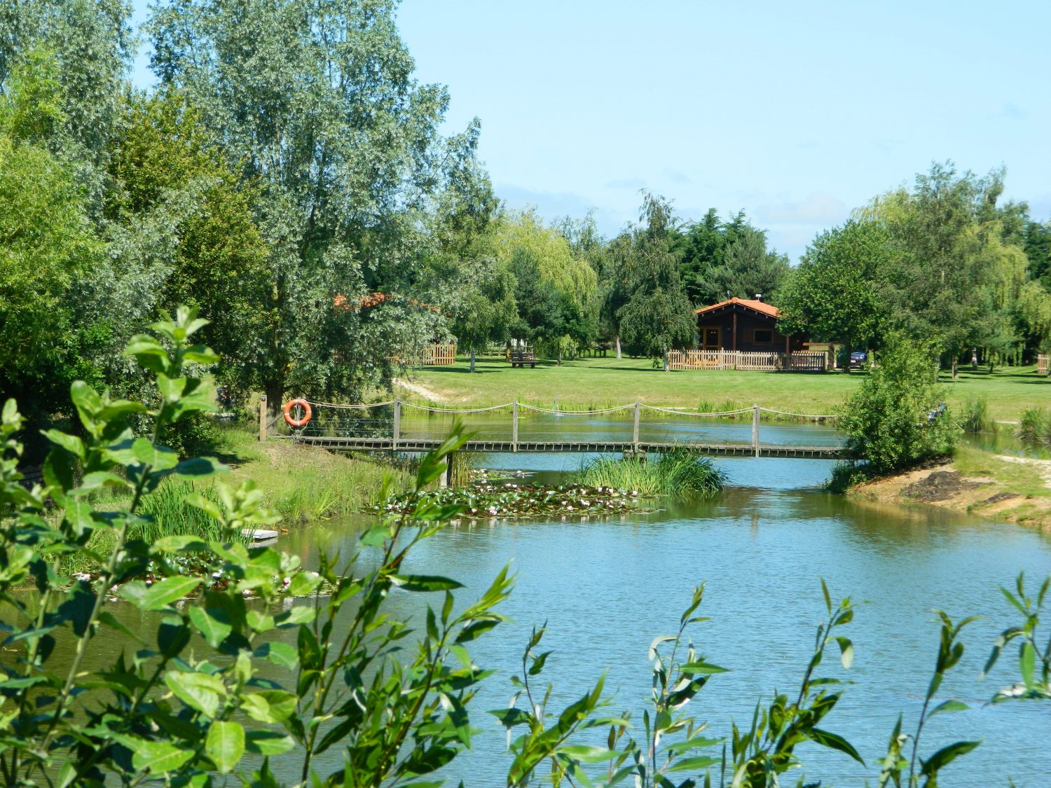 Across the Lake - Rural Roosts